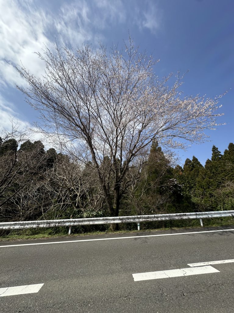 【ブログ第106回 出張の楽しみ紹介②】 MKT株式会社 大田雄一郎 | MKT株式会社